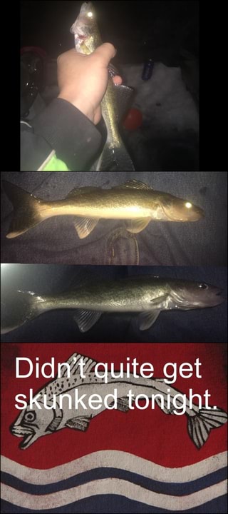 Walleye memes. Best Collection of funny walleye pictures on iFunny