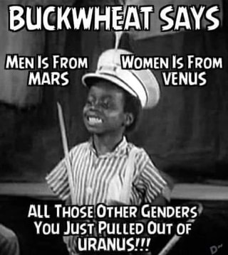 Buckwheat memes. Best Collection of funny buckwheat pictures on iFunny