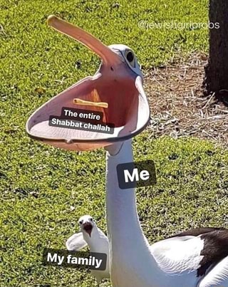 Shabbat memes. Best Collection of funny shabbat pictures on iFunny