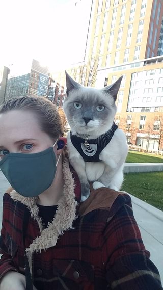 Pierogi memes. Best Collection of funny pierogi pictures on iFunny