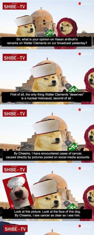 Cheems memes. Best Collection of funny cheems pictures on iFunny