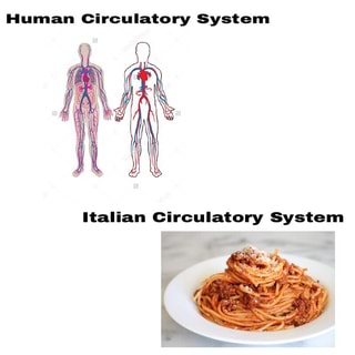 Circulatory memes. Best Collection of funny circulatory pictures on iFunny