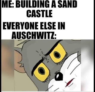 Me : Builds a sandcastle Everyone else at Normandy Beach : - iFunny :)