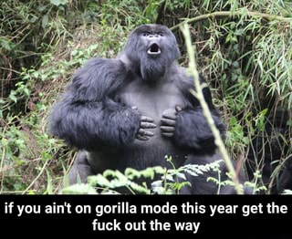 Gorilla Memes Best Collection Of Funny Gorilla Pictures On IFunny Gorilla Memes Best Collection Of Funny Gorilla Pictures On IFunny