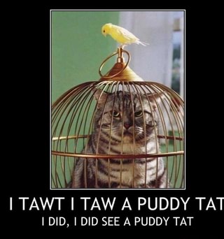 Tawt memes. Best Collection of funny tawt pictures on iFunny