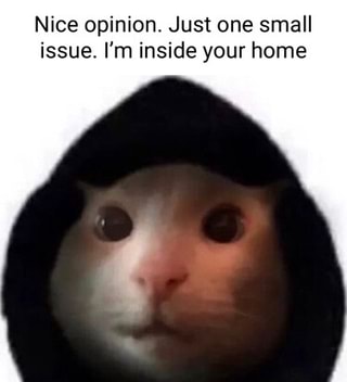 Nice opinion, one small issue - iFunny