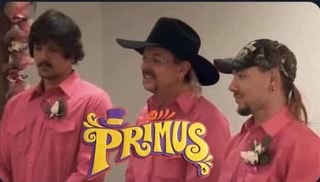 Primus memes. Best Collection of funny primus pictures on iFunny