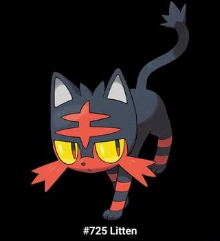 Litten memes. Best Collection of funny litten pictures on iFunny