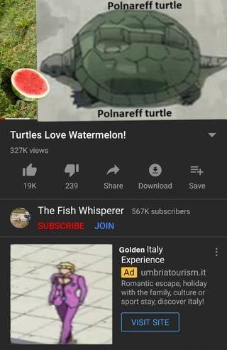 P- reff turtle Polnareff turtle Turtles Love Watermelon! v 19K 239 Share Download Save The Fish ...