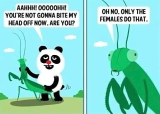 "You slept with her, didn't you?" - iFunny