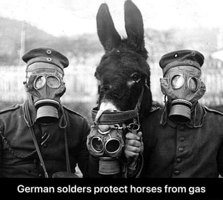 Cbrn memes. Best Collection of funny cbrn pictures on iFunny