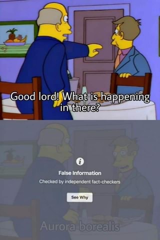 False Information Checked by independent fact-checkers See Why - iFunny :)