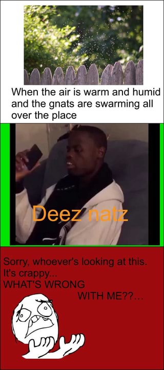 Gnats memes. Best Collection of funny gnats pictures on iFunny