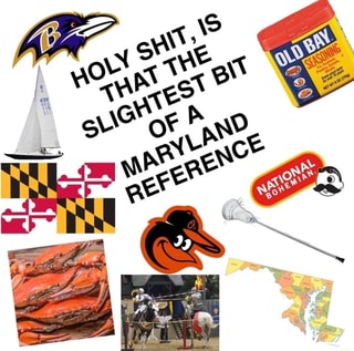 The Landsknecht were schnazzy about it : r/HistoryMemes