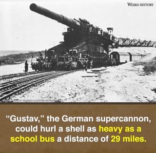 Gustav memes. Best Collection of funny gustav pictures on iFunny