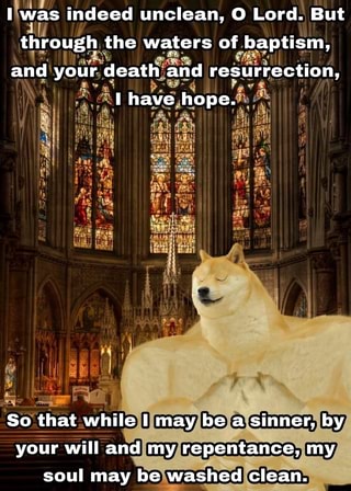 Baptism memes. Best Collection of funny baptism pictures on iFunny