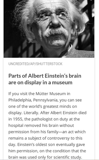 Parts of Albert Einstein's brain are on display ina museum If you visit ...