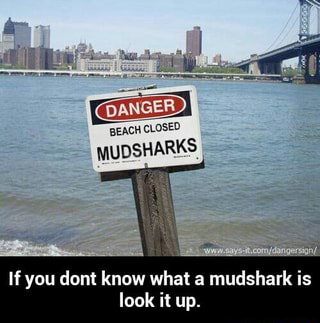 Mudshark memes. Best Collection of funny mudshark pictures on iFunny