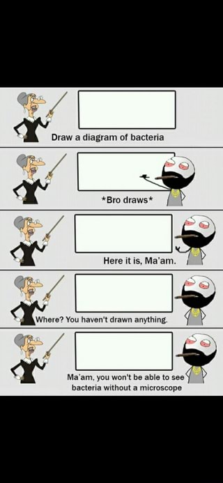 Diagram memes. Best Collection of funny diagram pictures on iFunny