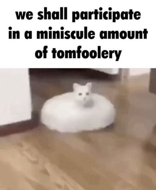 Tomfoolery memes. Best Collection of funny tomfoolery pictures on iFunny