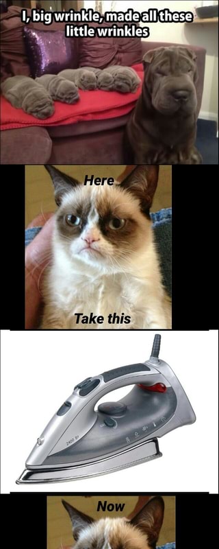 Wrinkle memes. Best Collection of funny wrinkle pictures on iFunny