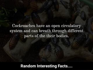 Circulatory memes. Best Collection of funny circulatory pictures on iFunny