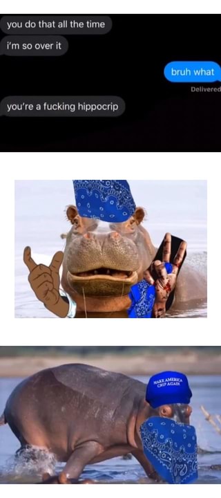Hippocrip memes. Best Collection of funny hippocrip pictures on iFunny