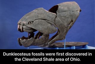 Dunkleosteus memes. Best Collection of funny dunkleosteus pictures on ...