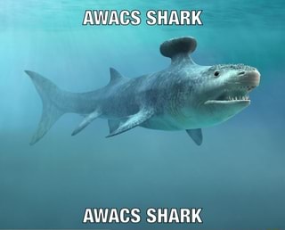 Awacs memes. Best Collection of funny awacs pictures on iFunny