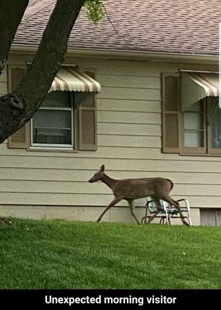 Unexpected memes. The best memes on iFunny