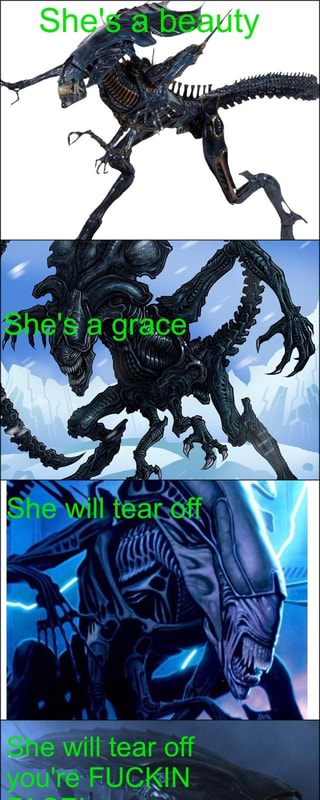 Xenomorph Memes Best Collection Of Funny Xenomorph Pictures