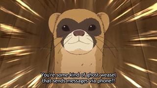 Weasel memes. Best Collection of funny weasel pictures on iFunny