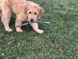 Ruby memes. Best Collection of funny ruby pictures on iFunny