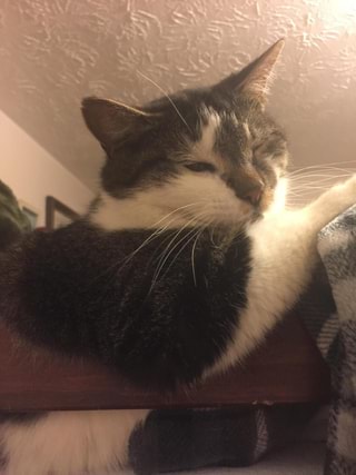 Flexing memes. Best Collection of funny flexing pictures on iFunny