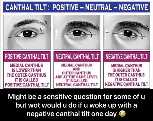 CANTHAL TILT POSITIVE NEUTRAL NEGATIVE MEDIAL CANTHUS MEDIAL CANTHUS CANTHAL TILT POSITIVE NEUTRAL NEGATIVE MEDIAL CANTHUS MEDIAL CANTHUS