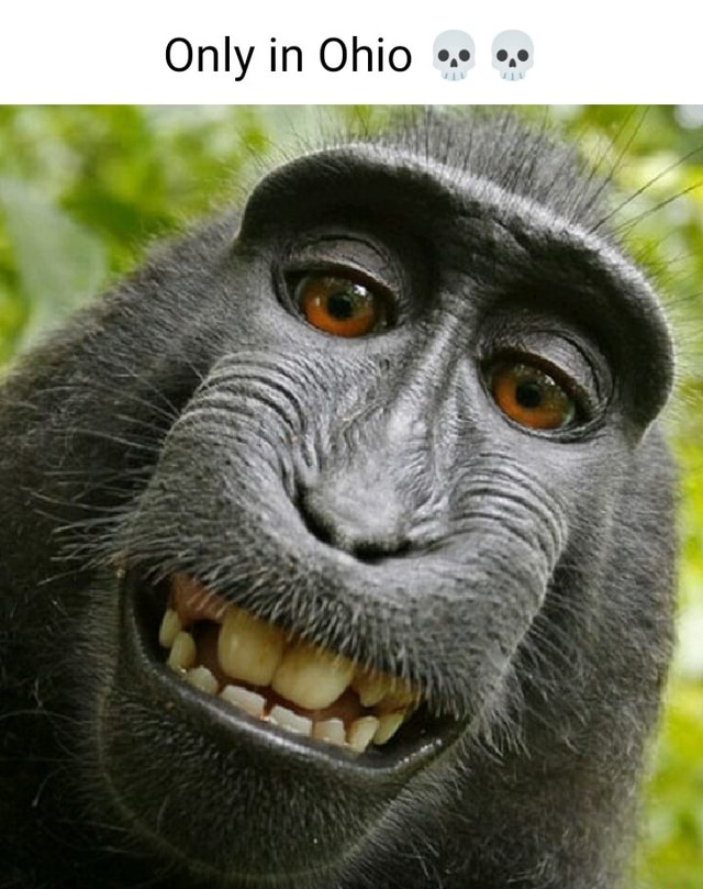 Only in Ohio - iFunny Brazil