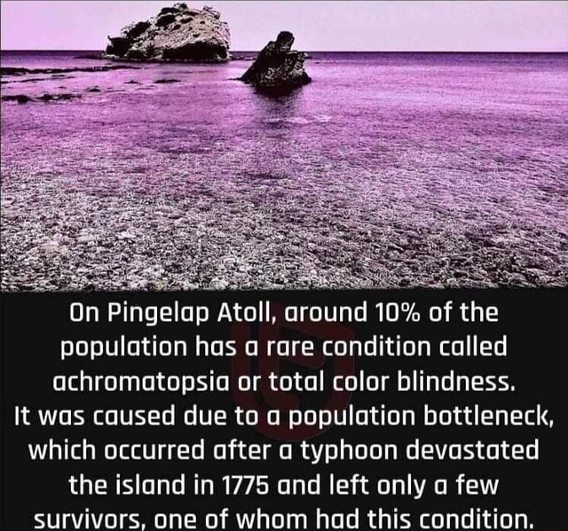On Pingelap Atoll, around 10% of the population has a rare condition ...