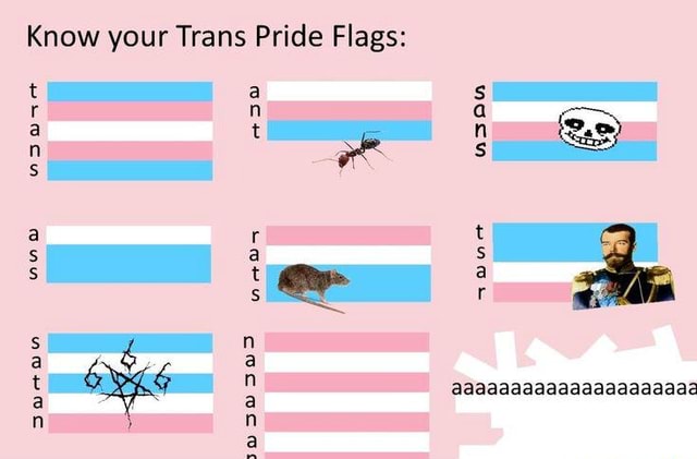 Egg_irl - egg_irl Know your Trans Pride Flags: porn ...