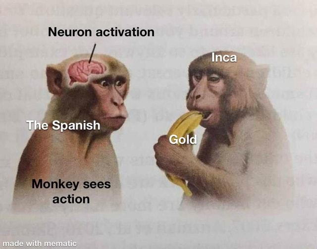 Neuron activation Inca The Spanish / Gold I Monkey sees action - iFunny