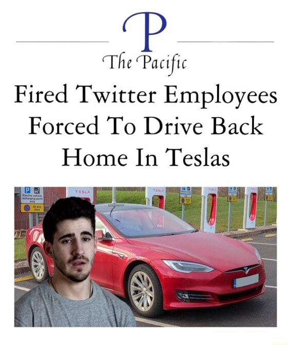The Pacific Fired Twitter Employees Forced To Drive Back Home In Teslas ...
