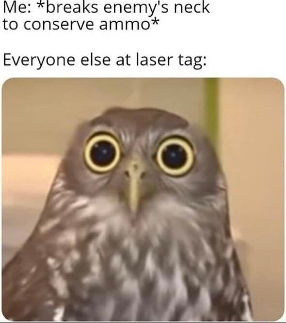 Me: *breaks enemy's n necK to conserve ammo* Everyone else at laser tag ...