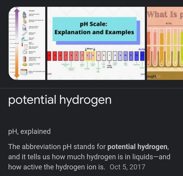 PH Scale: Explanation and Examples potential hydrogen pH, explained The ...