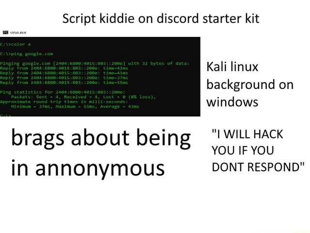 Script kiddie on discord starter kit Kali linux background on windows ...