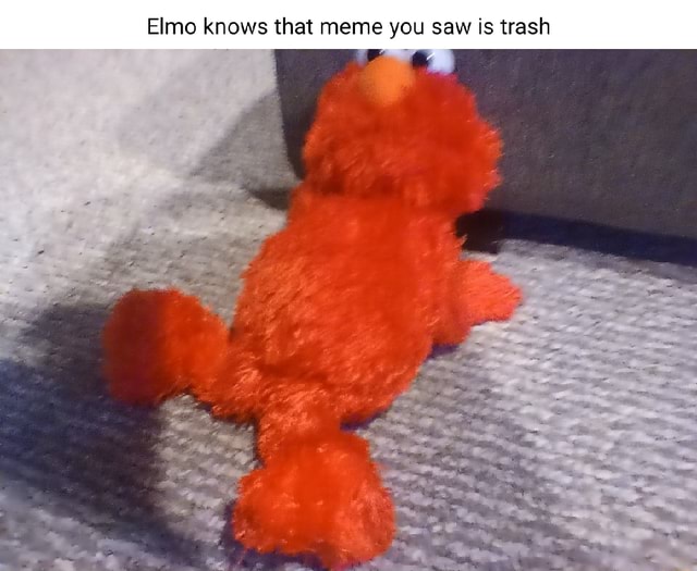 Elmo knows that meme you saw is trash - iFunny