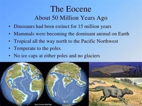 The Eocene About 50 Million Years Ago Dinosaurs had been extinct for 15 ...