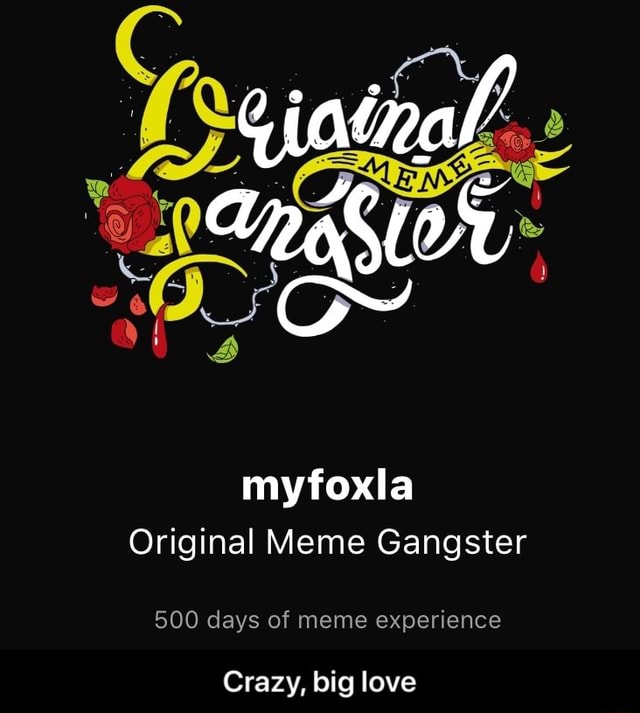 Myfoxla Original Meme Gangster 500 days of meme experience Crazy, big ...