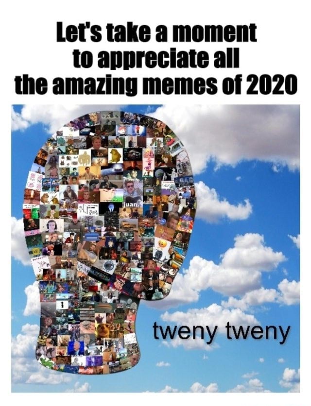 Let's take moment to appreciate all the amazing memes of 2020 - America ...