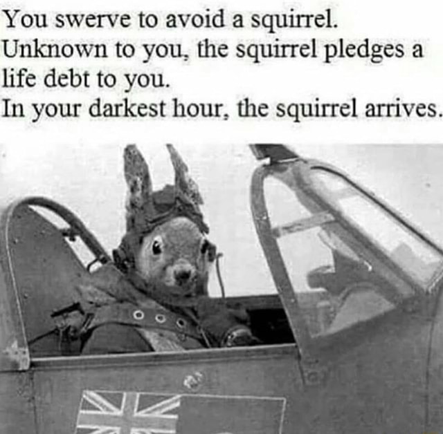 You swerve to avoid a squirrel. Unknown to you, the squirrel pledges a ...