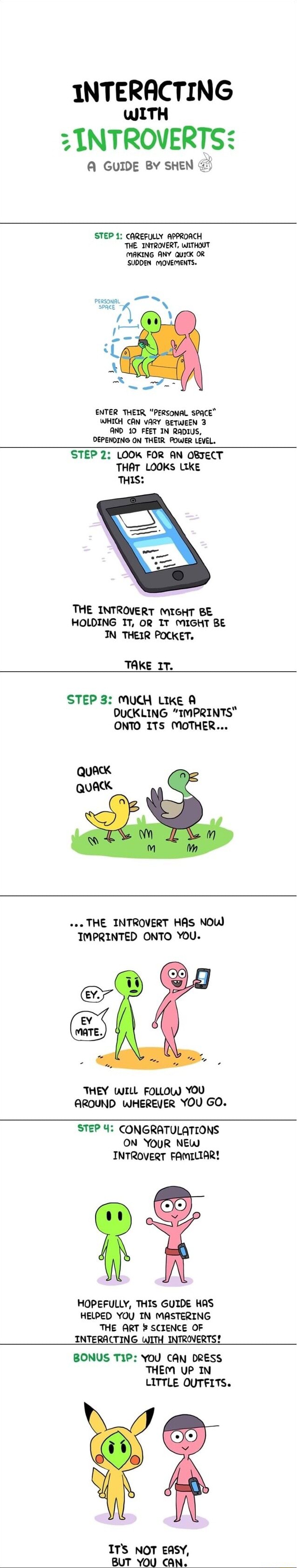 INTERACTING WITH INTROVERTS: GUIDE BY SHEN STEP 1: CAREFULLY APPROACH ...