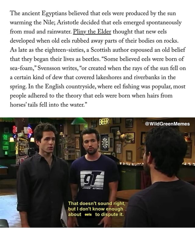 Do you dare to argue? #knownothing - The ancient Egyptians believed ...